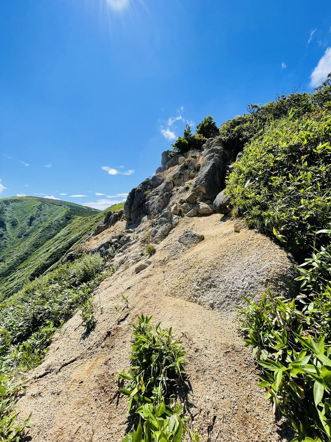 otouさんの投稿したフィールドメモ | YAMAP / ヤマップ