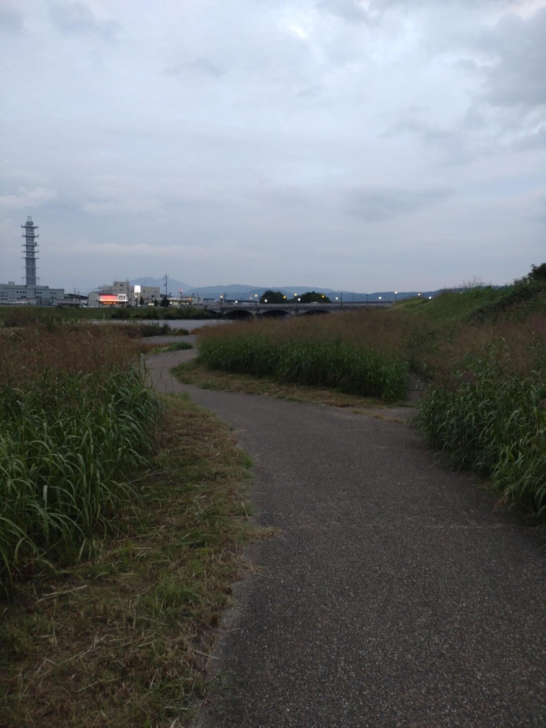 涼しくなったので、久し振りに夕方のジョギ... / yasuさんのモーメント | YAMAP / ヤマップ