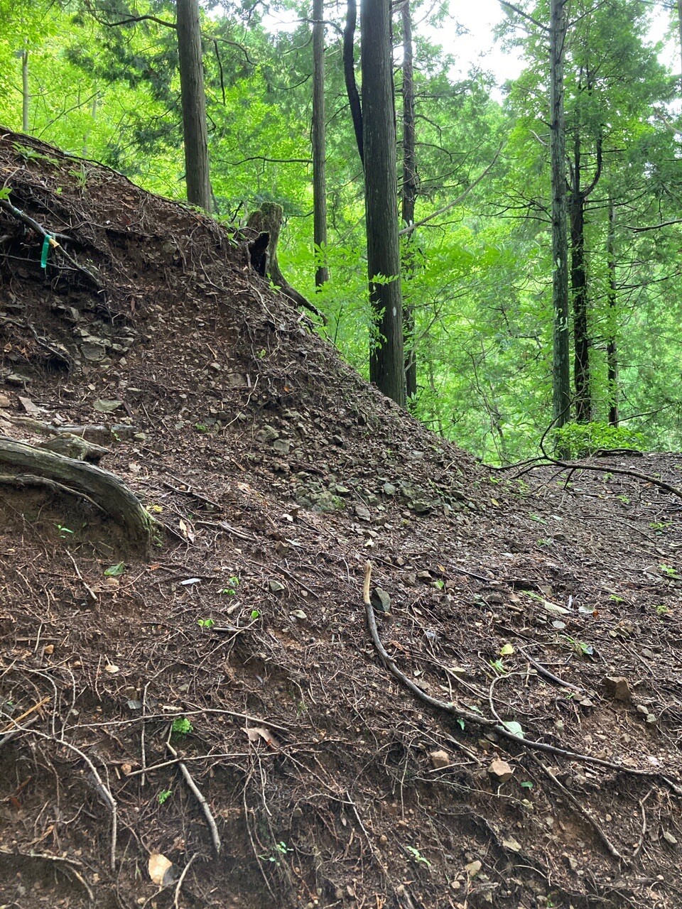 keloさんの投稿したフィールドメモ | YAMAP / ヤマップ