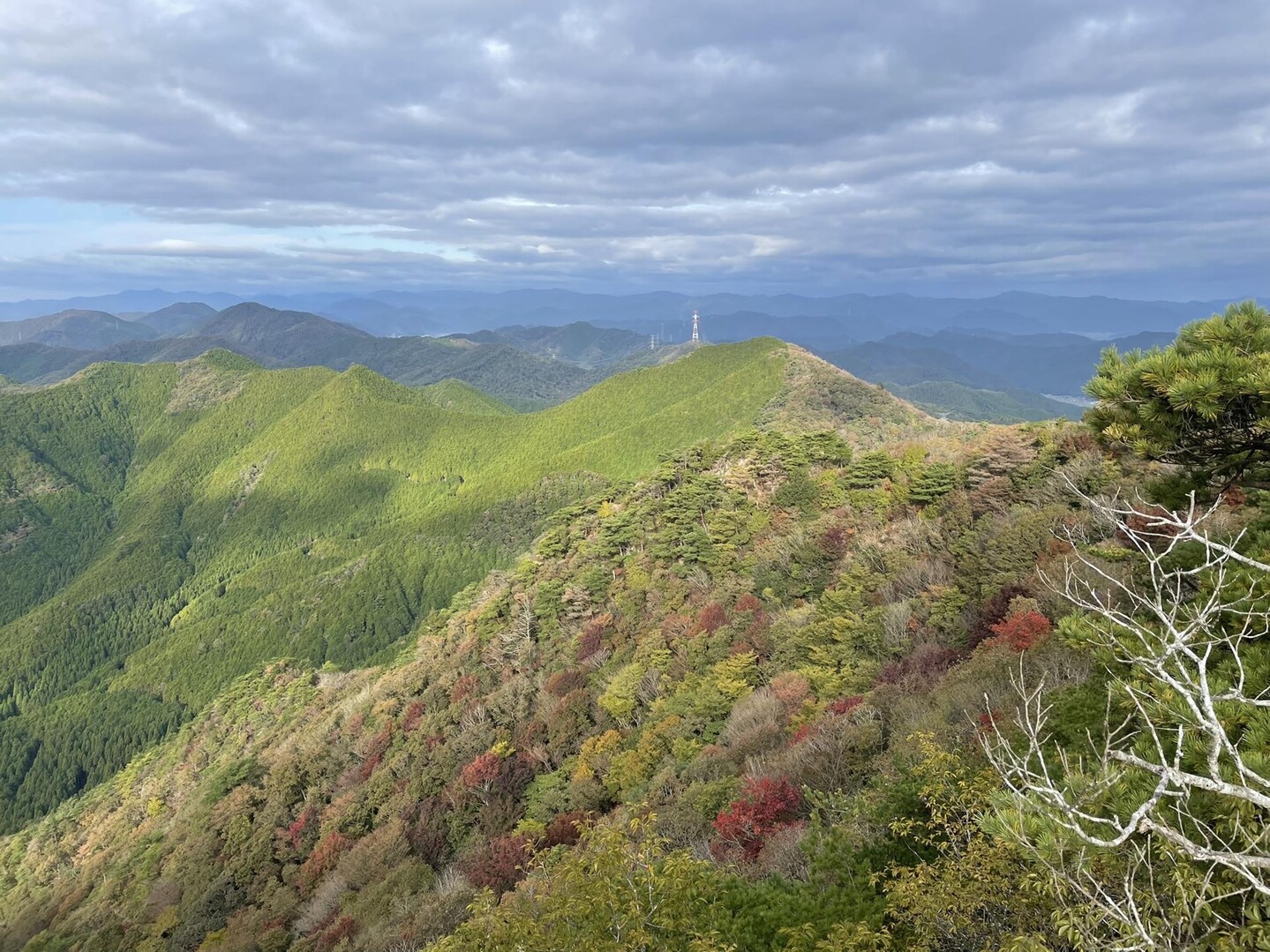 白髪岳・水山・松尾山(高仙寺山) / ちかさんの白髪岳・松尾山・西寺山の活動データ | YAMAP / ヤマップ