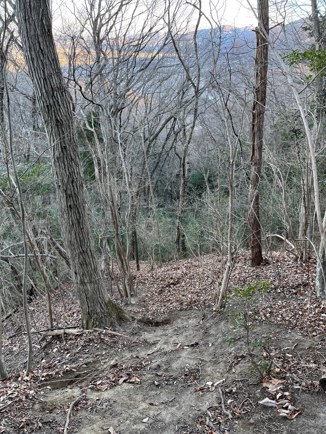 samさんの投稿したフィールドメモ | YAMAP / ヤマップ