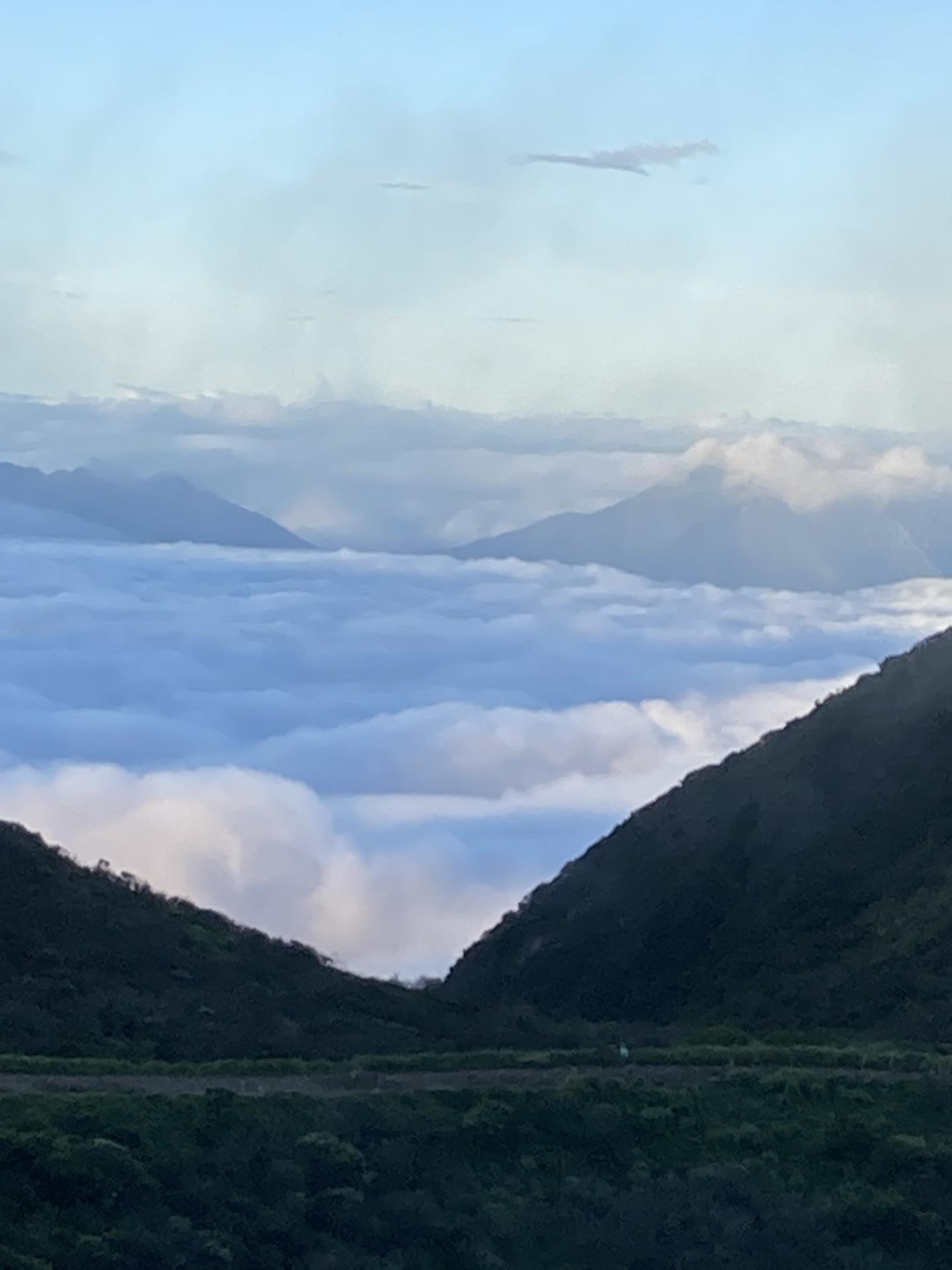 まさかの霧雨🌧️の星生山 最後まで涼しい / west 7さんの九重山（久住山）・大船山・星生山の活動データ | YAMAP / ヤマップ