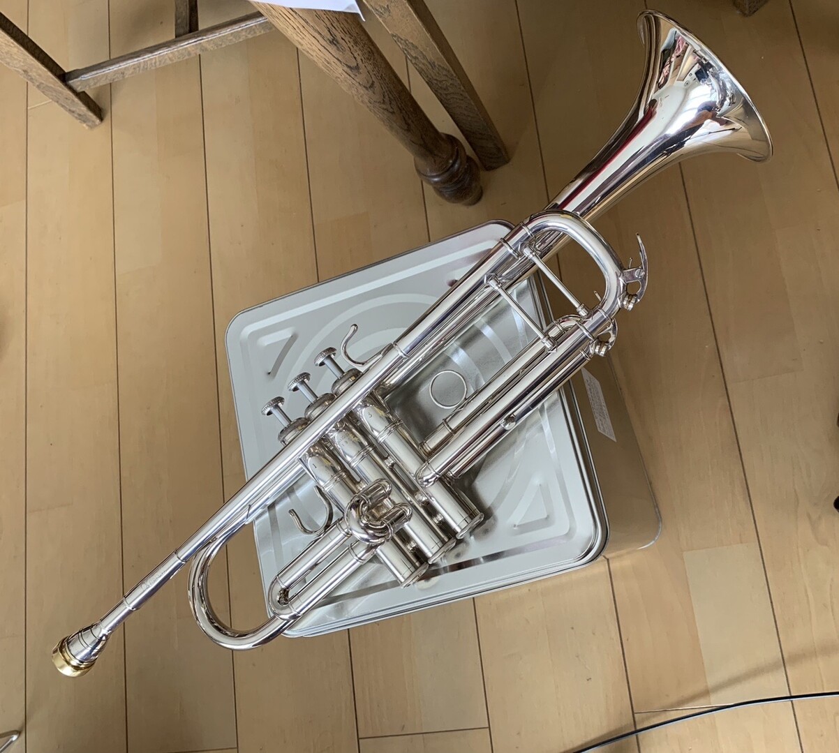 these days No,8 さくら... / Wis⁂さんのモーメント | YAMAP / ヤマップ