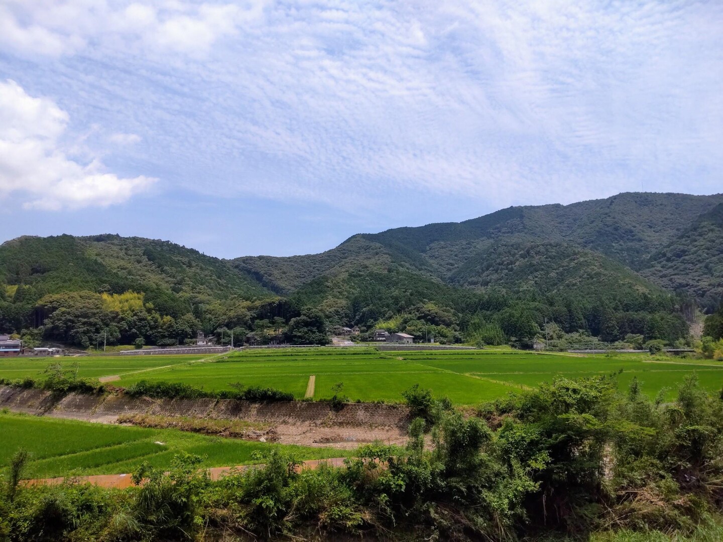 ヒノタニ山 / じいやんさんの四国遍路その10の活動データ | YAMAP / ヤマップ