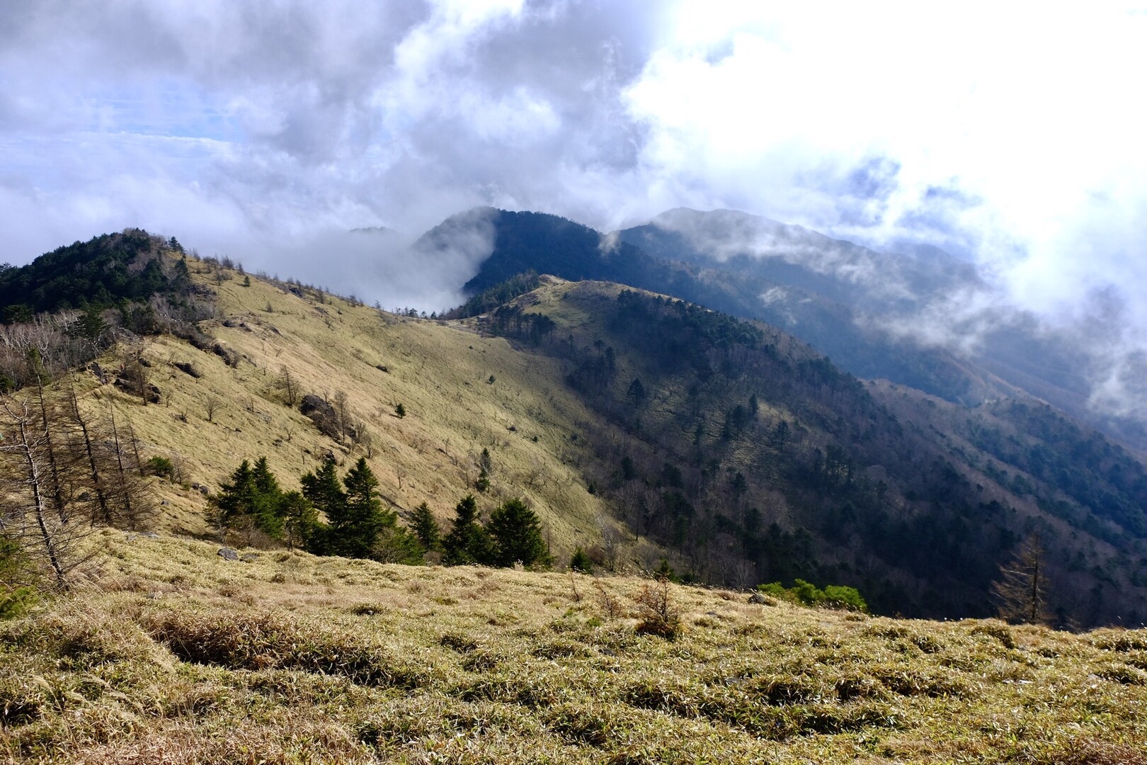 妙見ノ頭・大菩薩嶺・砥山 / とっくんさんの大菩薩嶺・鶏冠山・大マテイ山の活動データ | YAMAP / ヤマップ