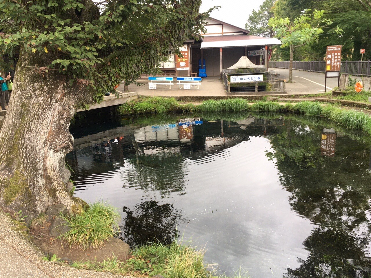 山梨県遠征2日目 天気が良くなさそうだっ... / よこおさんのモーメント | YAMAP / ヤマップ