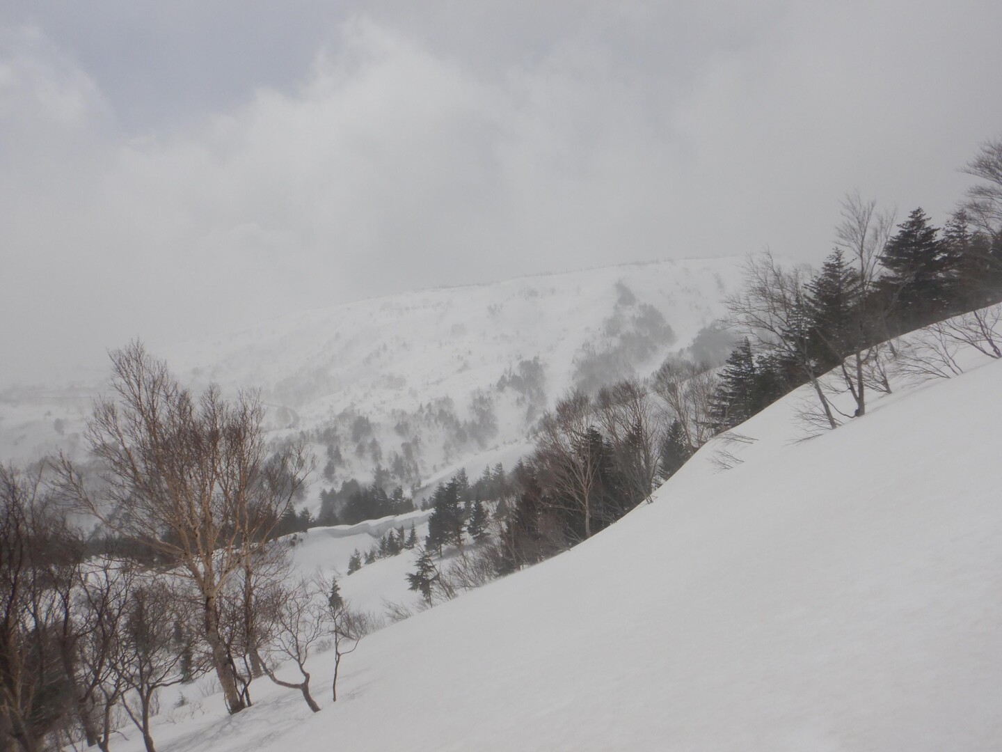 八幡平BC(旧ゲレンデ2本) 2024-03-30 / もろきゅうさんの岩手山・八幡平・安比高原 50km トレイルの活動データ | YAMAP / ヤマップ