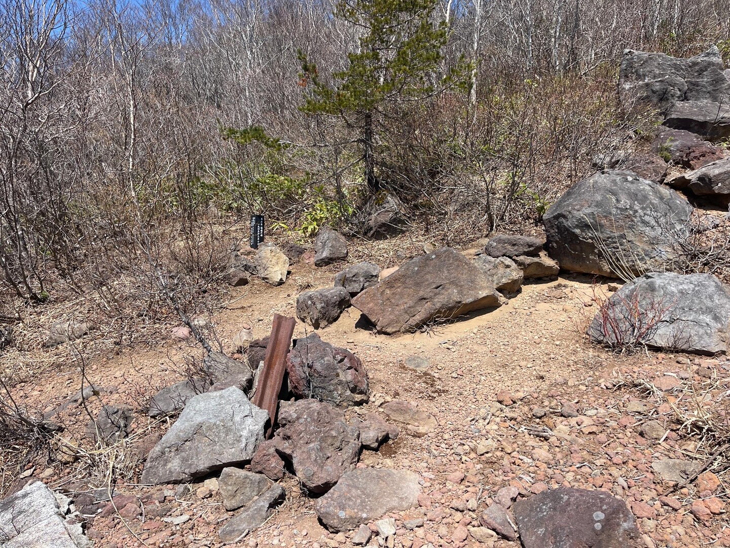 DDT-EXさんの投稿したフィールドメモ | YAMAP / ヤマップ