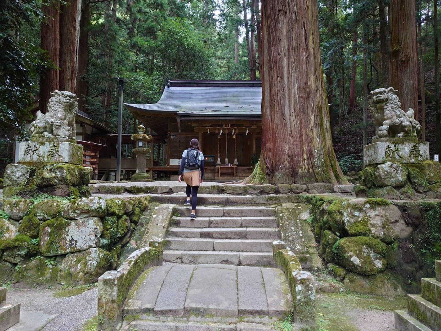 室生ハイキング / Megさんの三郎岳・高城岳の活動データ | YAMAP / ヤマップ