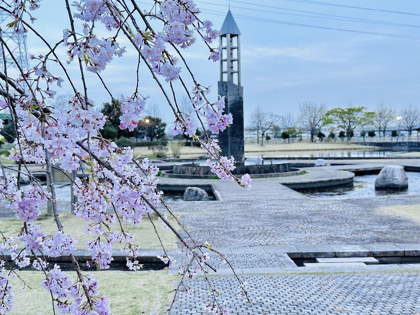 桜探しの1kmウォーク🚶‍♀️-2024-04-11 / sakiさんのウォーキングの活動データ | YAMAP / ヤマップ