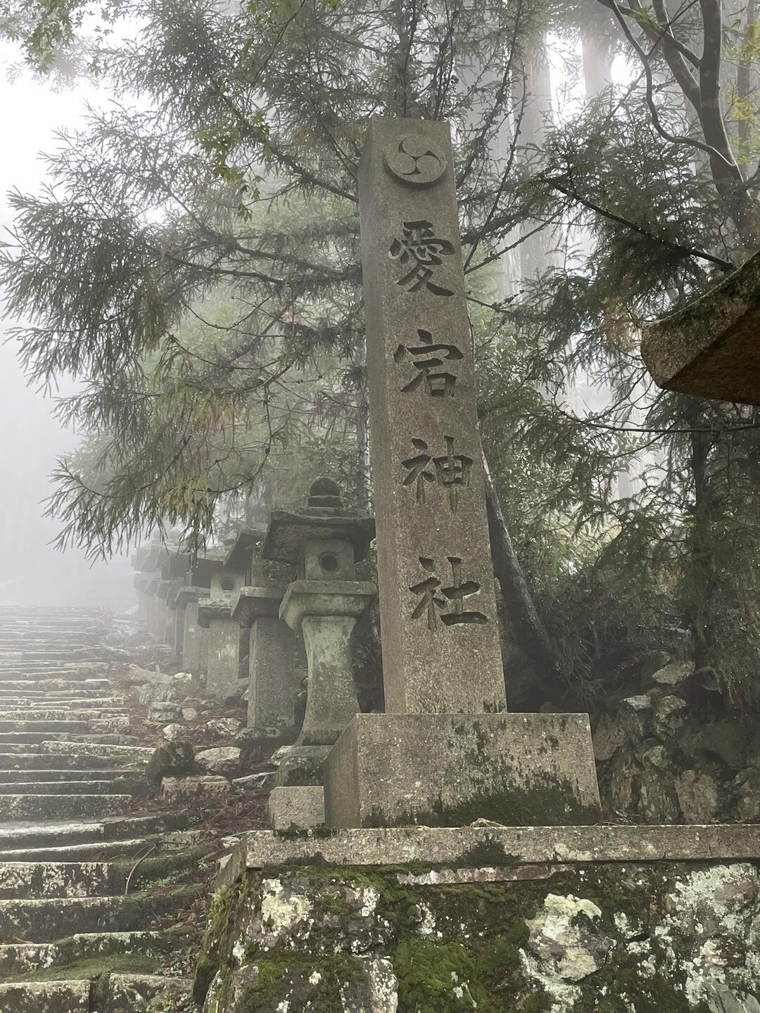 ミストな愛宕山 / KUMAさんの愛宕山・三頭山・朝日峯の活動データ | YAMAP / ヤマップ