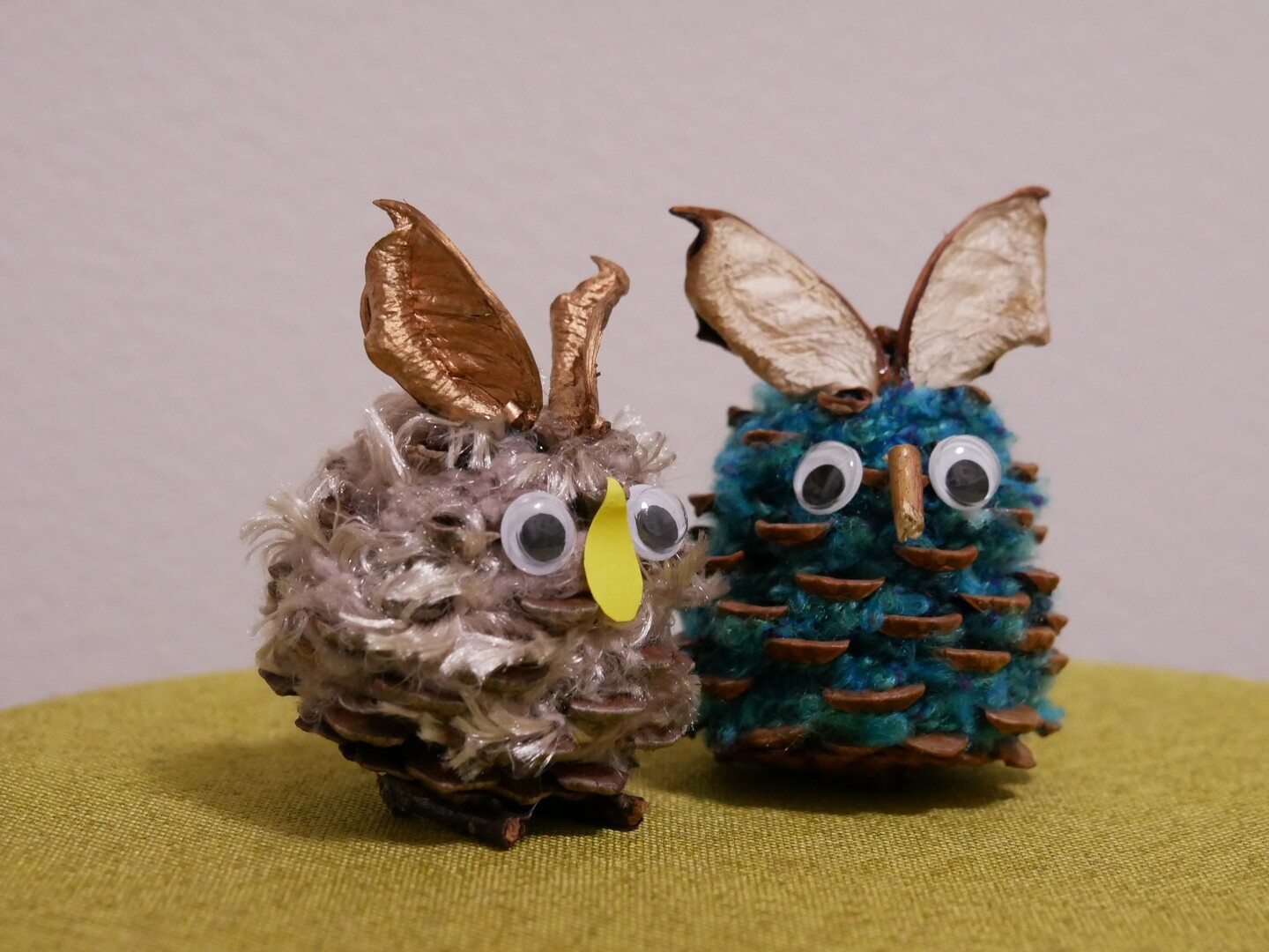 山で拾った松ぼっくり！ やっとスイッチ入... / しまんちゅさんのモーメント | YAMAP / ヤマップ