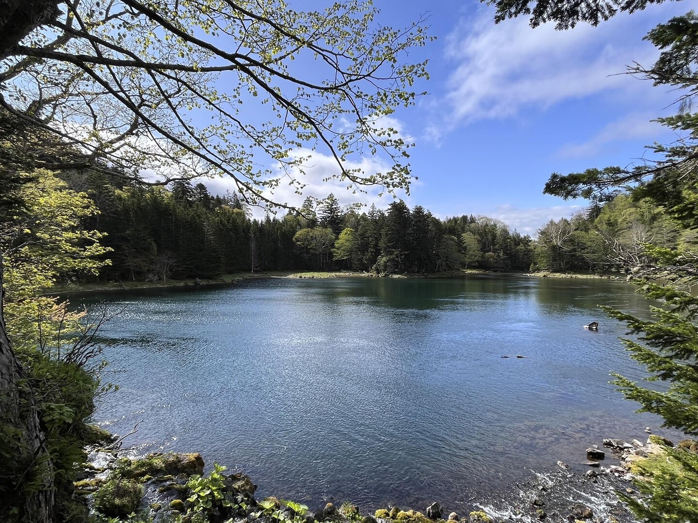脱ぼっち🙌 始動‼️いくさーんと火曜日登山倶楽部🥾vol.1 雄阿寒岳編🤭 / まっつさんの雄阿寒岳の活動データ | YAMAP / ヤマップ