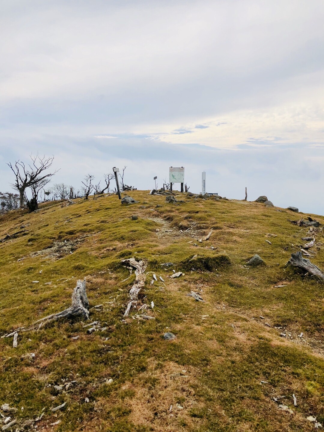 白髪岳(川内川源流から) / u.mountさんの白髪岳・猪ノ子伏・陀来水岳の活動日記 | YAMAP / ヤマップ