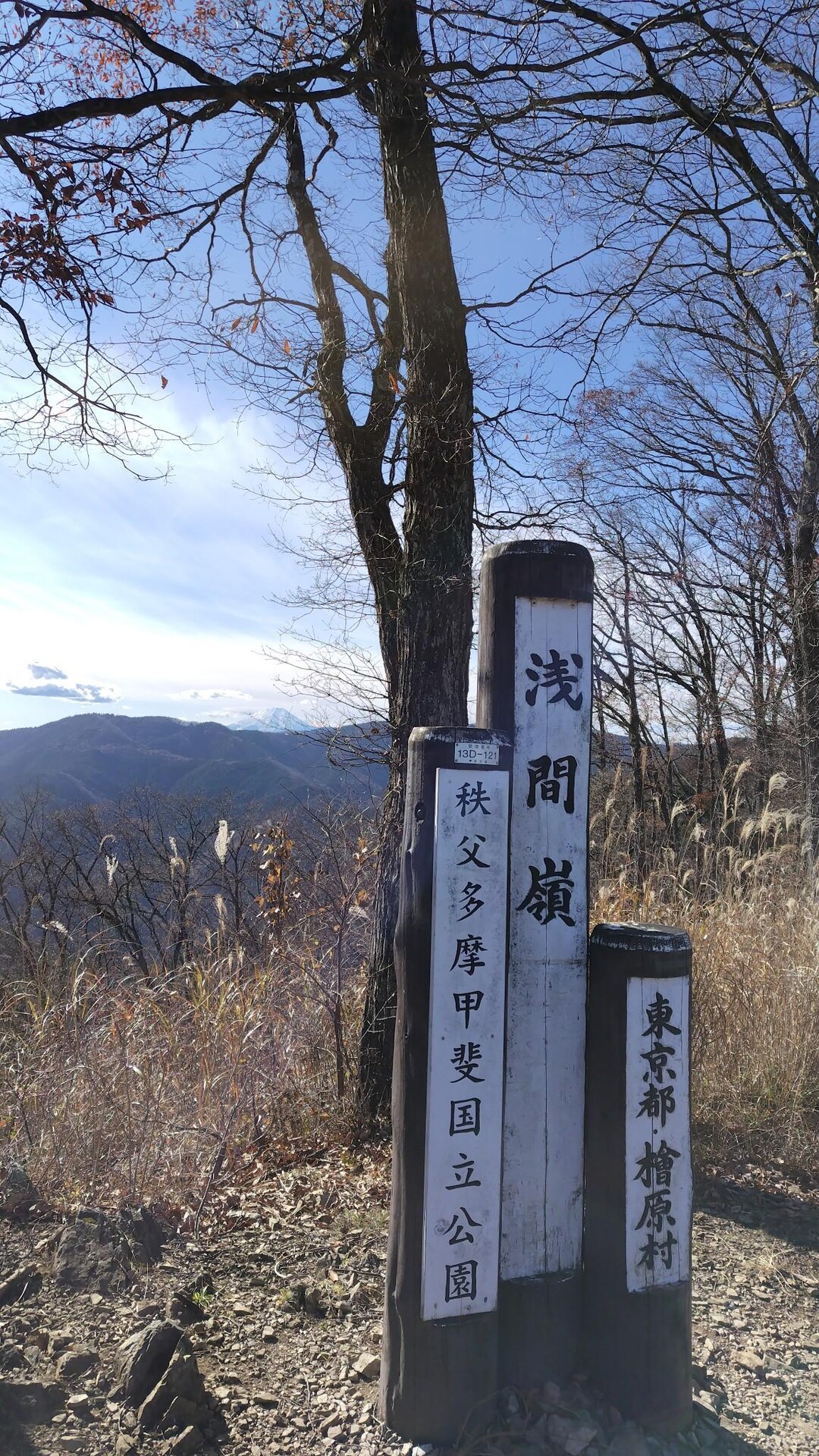 NICE VIEW 浅間嶺（小岩浅間） / しゃきぴよゆうさんさんの浅間嶺・松生山の活動データ | YAMAP / ヤマップ