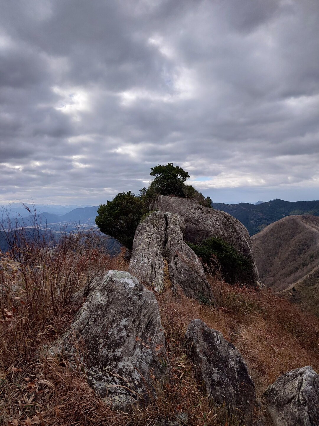 歳末ピークハント祭り1⃣ 平尾台で23P / palさんの平尾台・貫山・水晶山の活動データ | YAMAP / ヤマップ