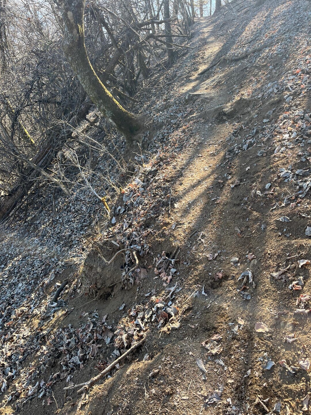 SSMさんの投稿したフィールドメモ | YAMAP / ヤマップ