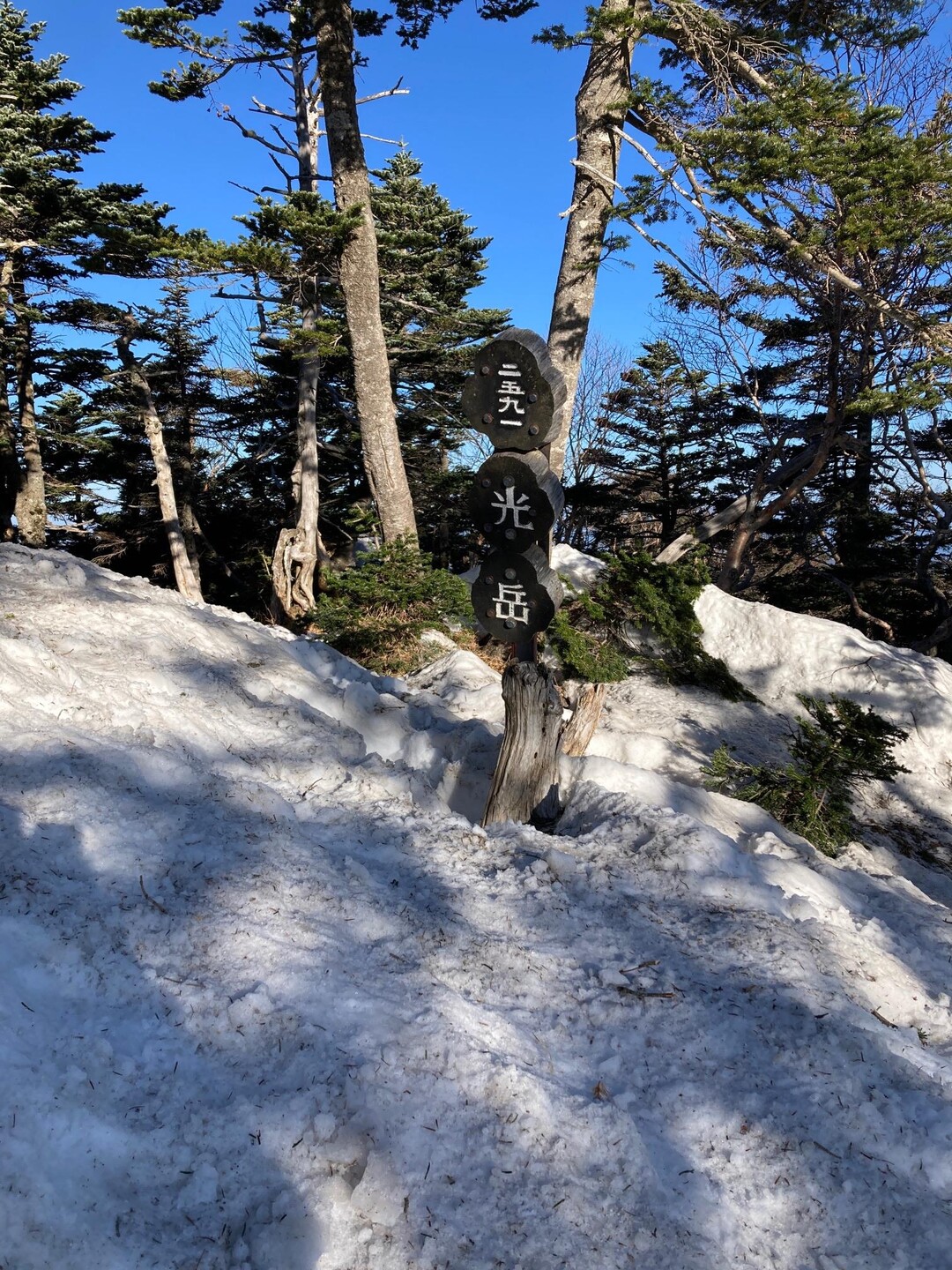 易老岳・光岳・イザルガ岳 / maky03さんの聖岳・大沢岳・光岳の活動データ | YAMAP / ヤマップ