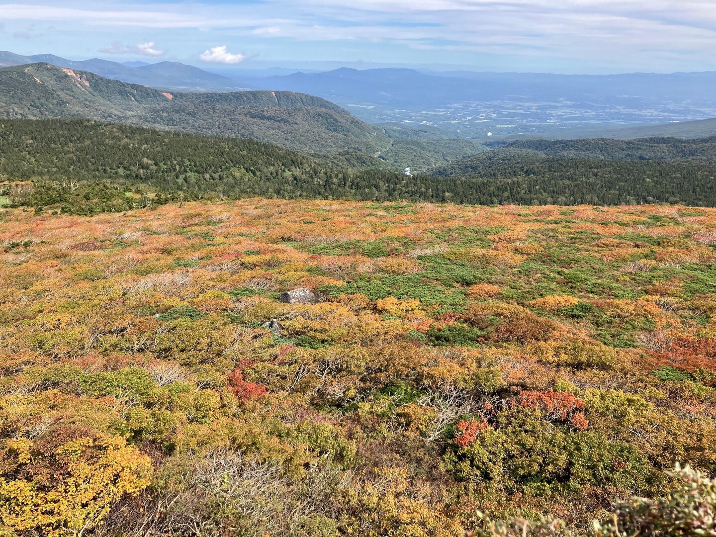 三ッ石山 / You-kaさんの三ッ石山・大深岳・諸桧岳の活動データ | YAMAP / ヤマップ