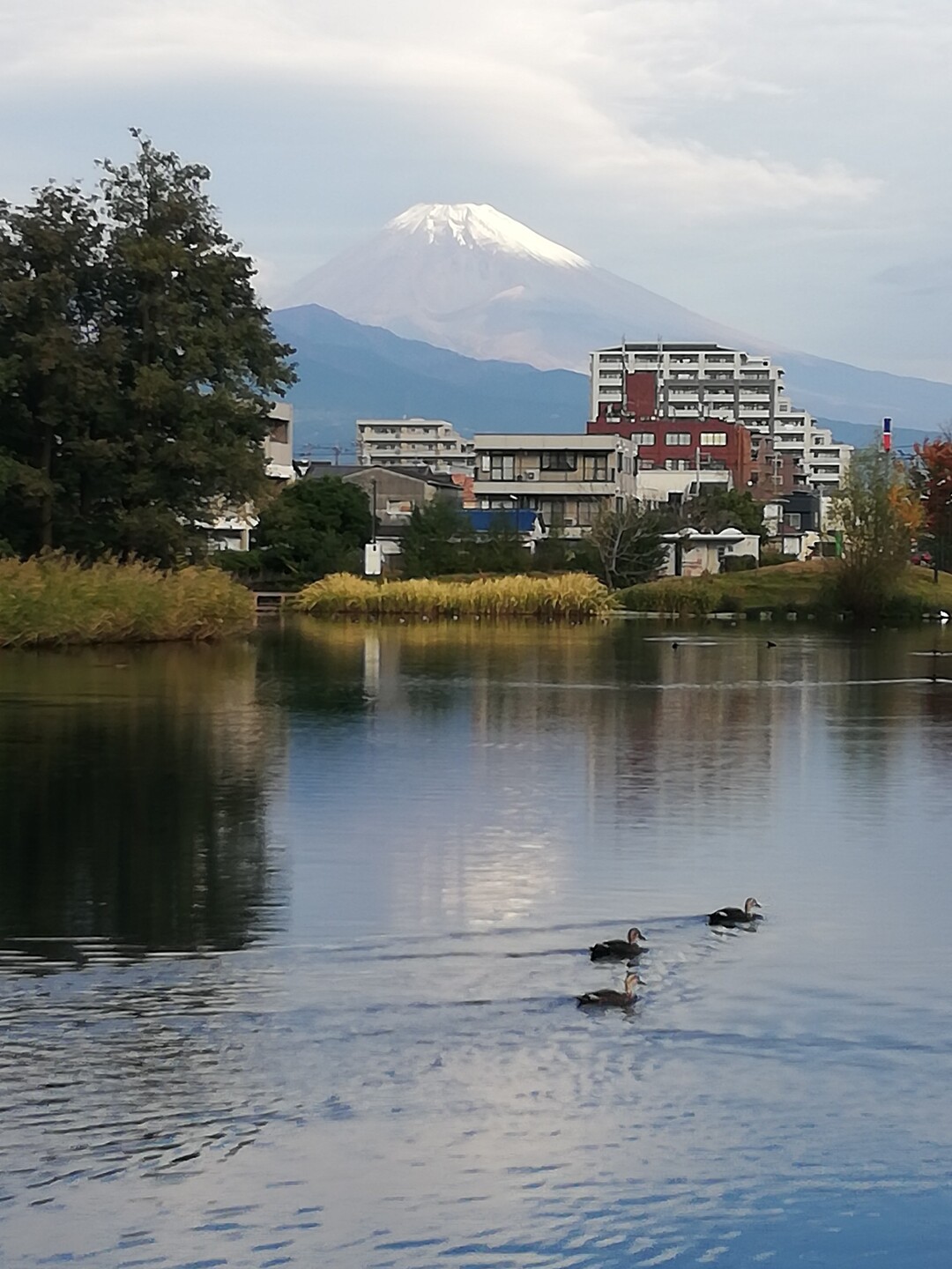 明日の天城紅葉トレッキングツアーが雨天中... / ogigeeeee(オギG)さんのモーメント | YAMAP / ヤマップ