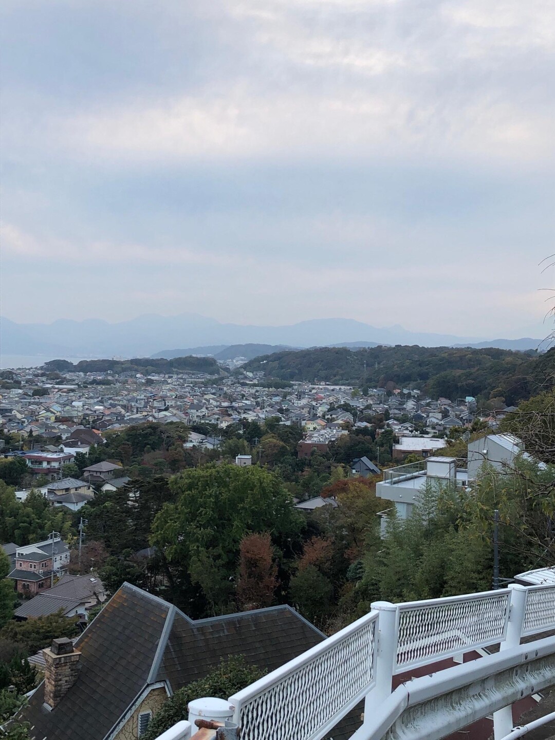 高麗山 / taka14さんの高麗山・湘南平・鷹取山の活動データ | YAMAP / ヤマップ