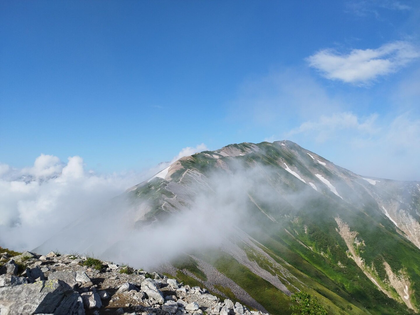R5.7 花咲く稜線、大池から白馬岳へ! / yukisukeponさんの白馬岳・小蓮華山の活動データ | YAMAP / ヤマップ
