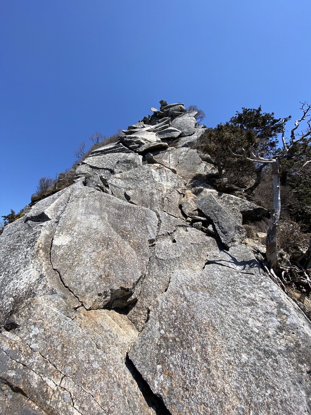 釈迦ヶ岳 大日岳 / ie_yasさんの釈迦ヶ岳・大日岳・涅槃岳の活動データ | YAMAP / ヤマップ