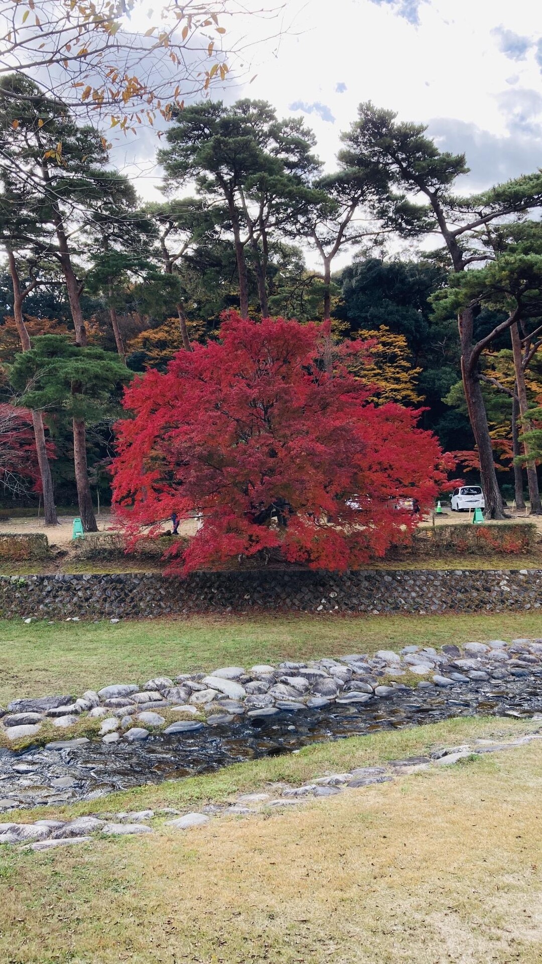 三方山・小倉山・北尾根P826峰 / KAI414さんの養老山・笙ヶ岳・三方山の活動データ | YAMAP / ヤマップ