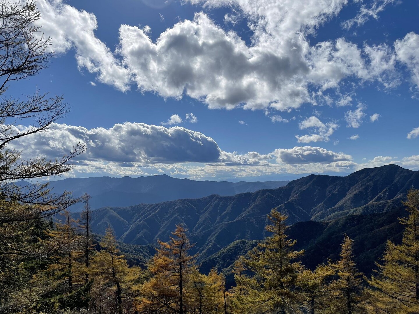雲取山-2023-10-21 / Linさんのウォーキングの活動データ | YAMAP / ヤマップ
