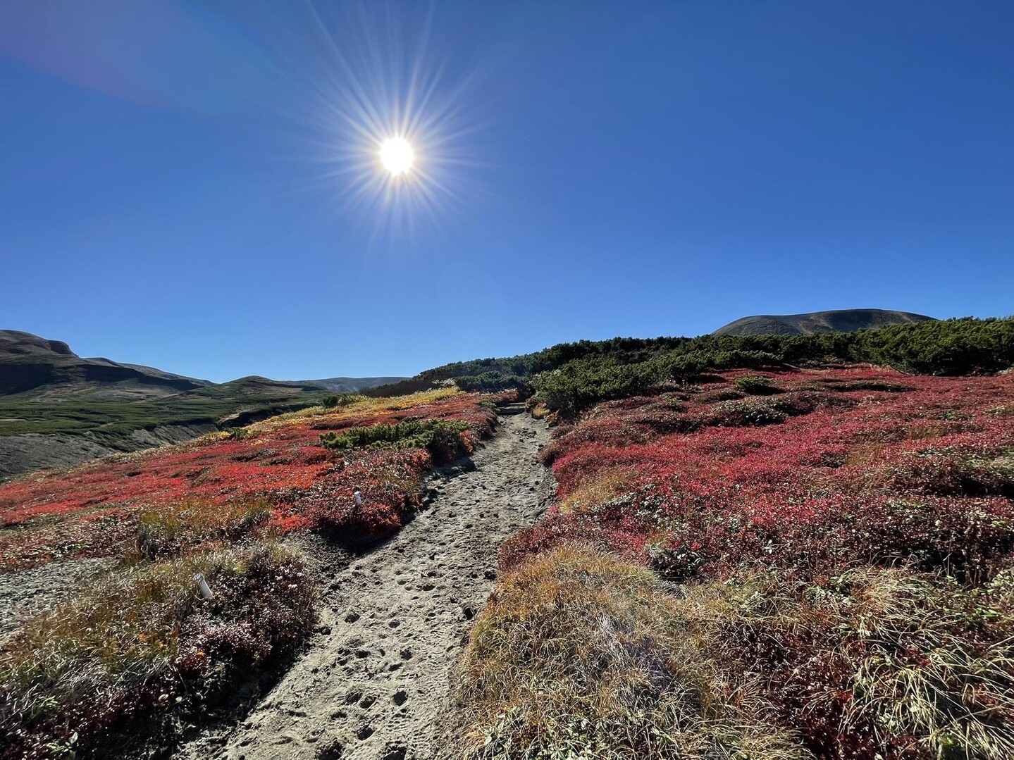 赤岳・小泉岳・北海岳 / hatsさんの大雪山系・旭岳・トムラウシの活動データ | YAMAP / ヤマップ