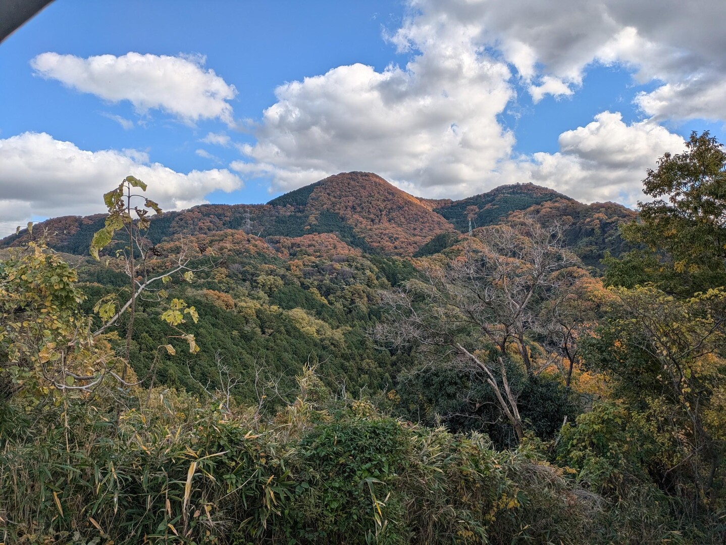 上ノ太子〜二上山（雌岳）〜當麻寺 / toshiさんの金剛山・二上山・大和葛城山の活動データ | YAMAP / ヤマップ