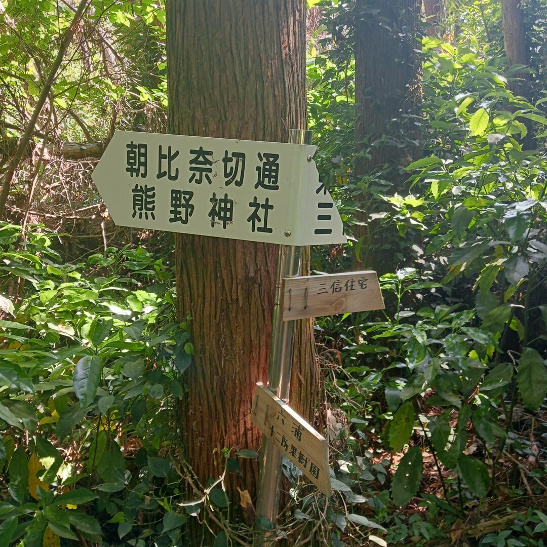 NORさんの投稿したフィールドメモ | YAMAP / ヤマップ