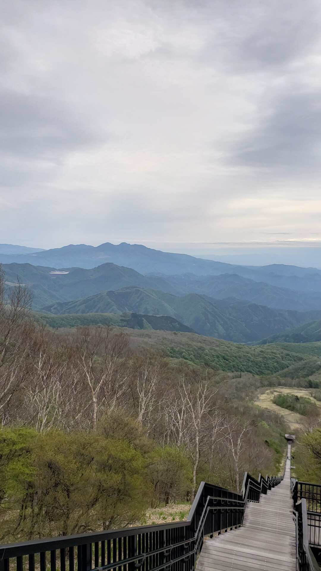 霧降高原・丸山 / str_0307さんの女峰山・赤薙山・大真名子山の活動データ | YAMAP / ヤマップ
