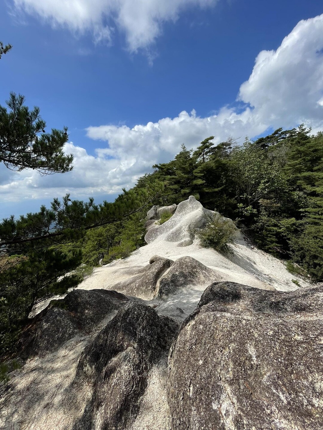 白砂山 / ha-saさんの弥三郎岳（羅漢寺山）の活動データ | YAMAP / ヤマップ