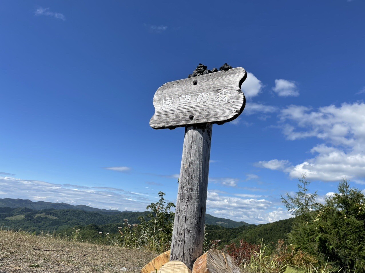 岩見沢万字炭山森林公園ズリ山 / mii500さんの幌向岳・ズリ山の活動データ | YAMAP / ヤマップ