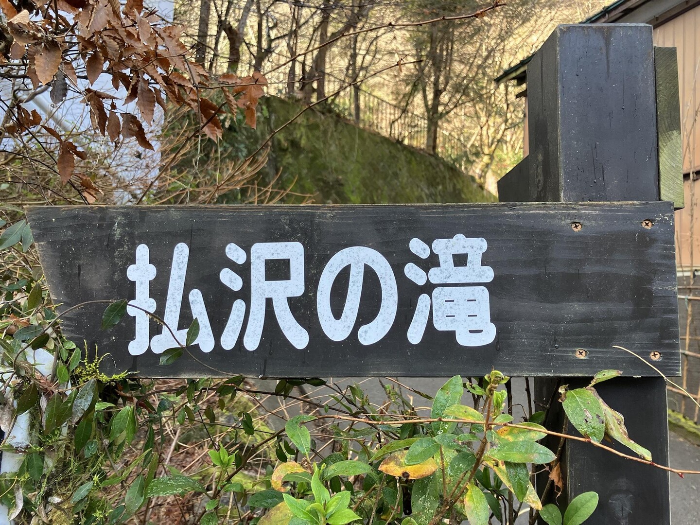 払沢の滝に行きました！ すごい！木や枝を... / ごまさんのモーメント | YAMAP / ヤマップ