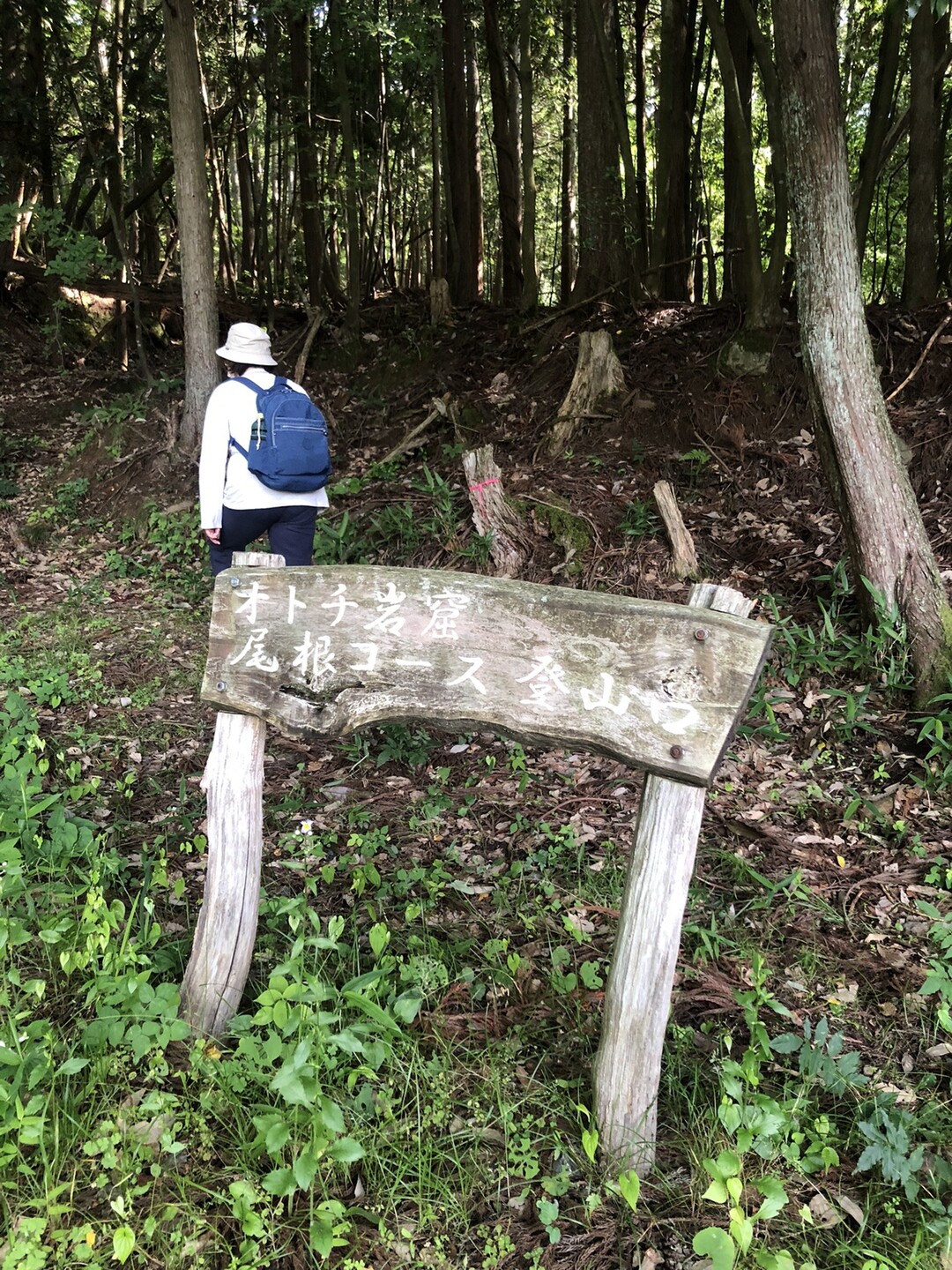 石田三成の洞「オトチの洞」 に行ってきま... / tomobuuさんのモーメント | YAMAP / ヤマップ