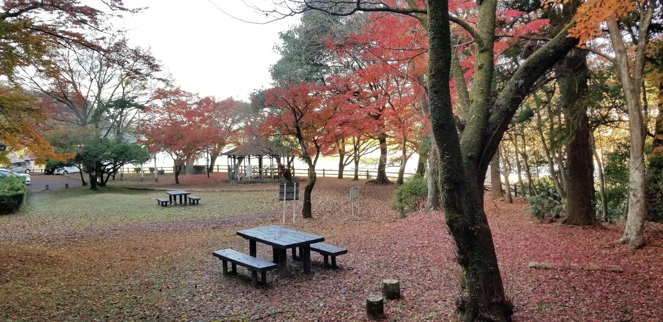 fuku🐤fukuさんの投稿したフィールドメモ | YAMAP / ヤマップ