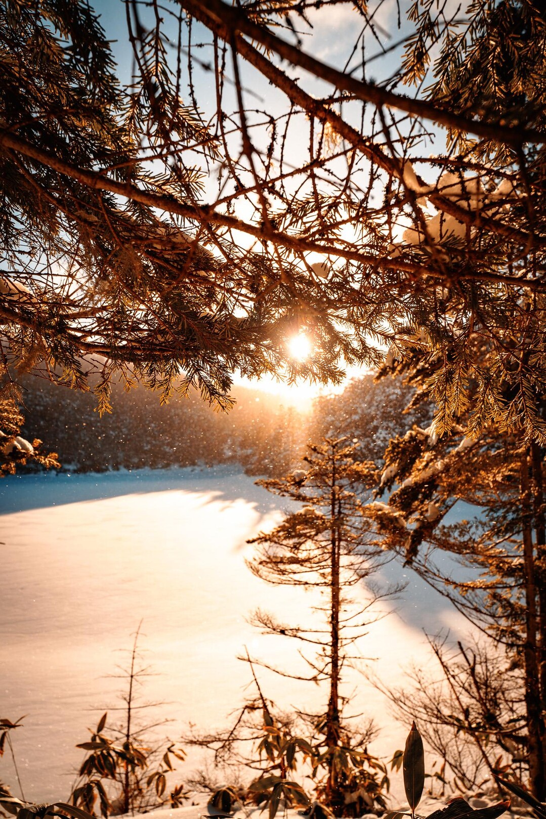 北横岳〜双子池 2DAYS / ろっこんしょうじょうさんの蓼科山・横岳・縞枯山の活動データ | YAMAP / ヤマップ