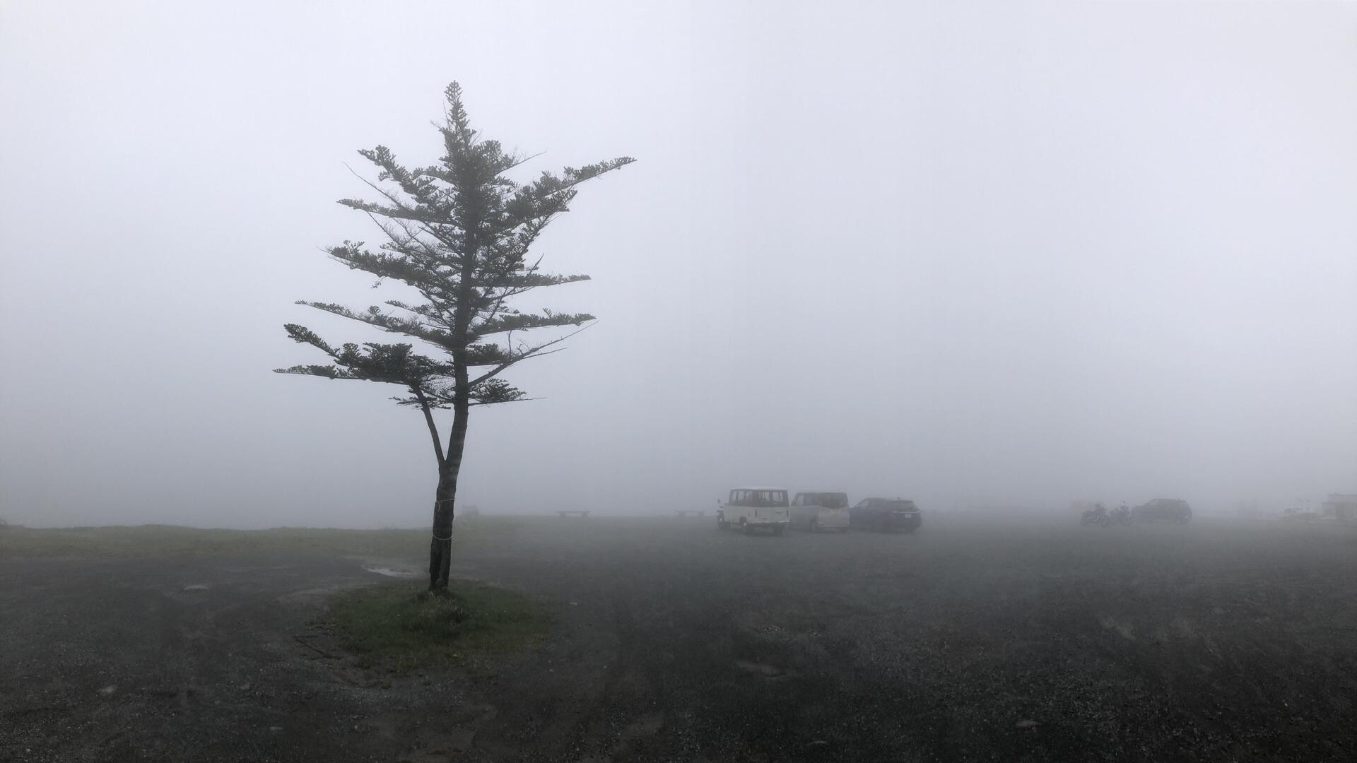 赤城山の大沼(カルデラ湖)を一周 4.6km軽歩（ガスガス） / ヒルズさんの赤城山・黒檜山・荒山の活動データ | YAMAP / ヤマップ