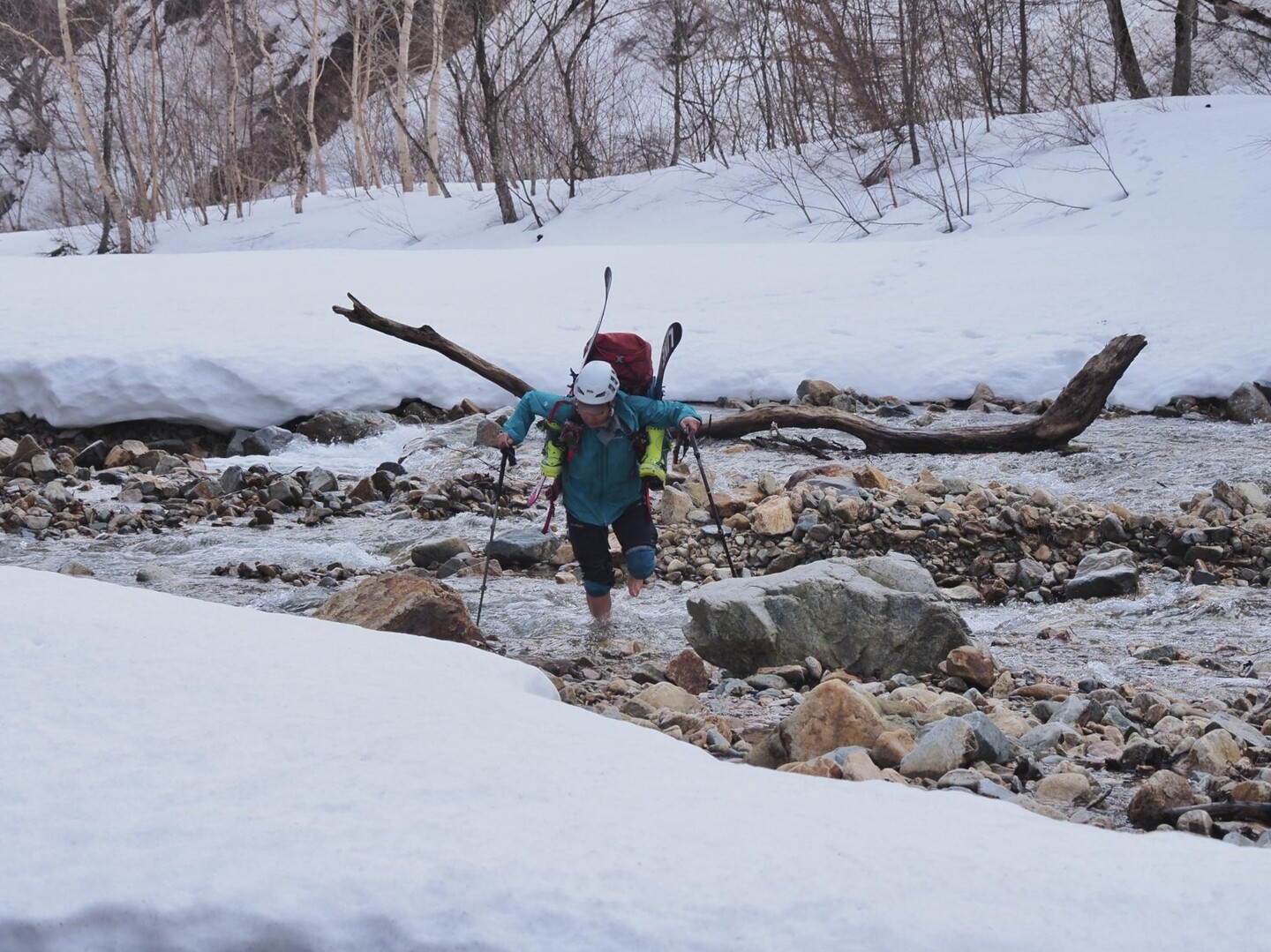 ブログ更新しました。スキーはあまり活躍し... / Wakaさんのモーメント | YAMAP / ヤマップ