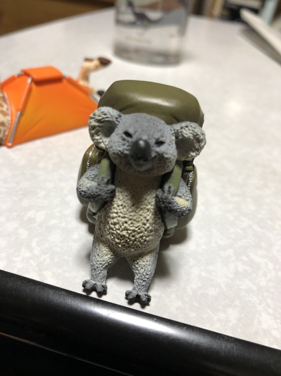 megumiのページ | YAMAP / ヤマップ