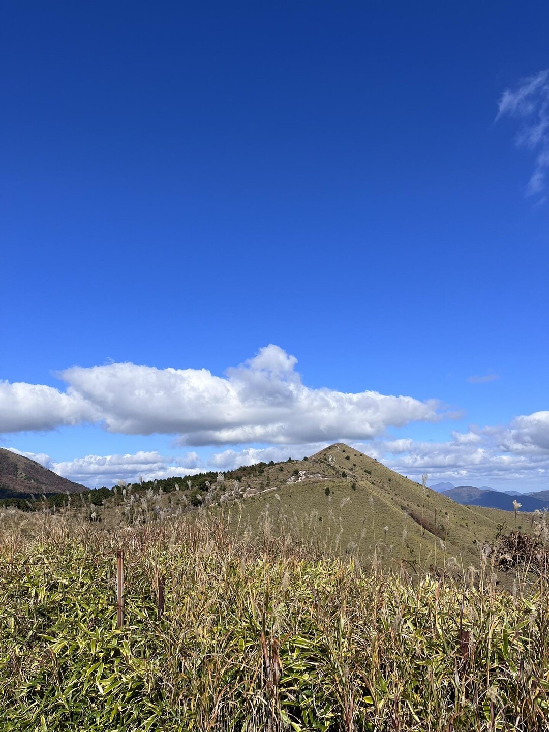一目山・みそこぶし山 / Mihoさんの涌蓋山・猟師山の活動データ | YAMAP / ヤマップ