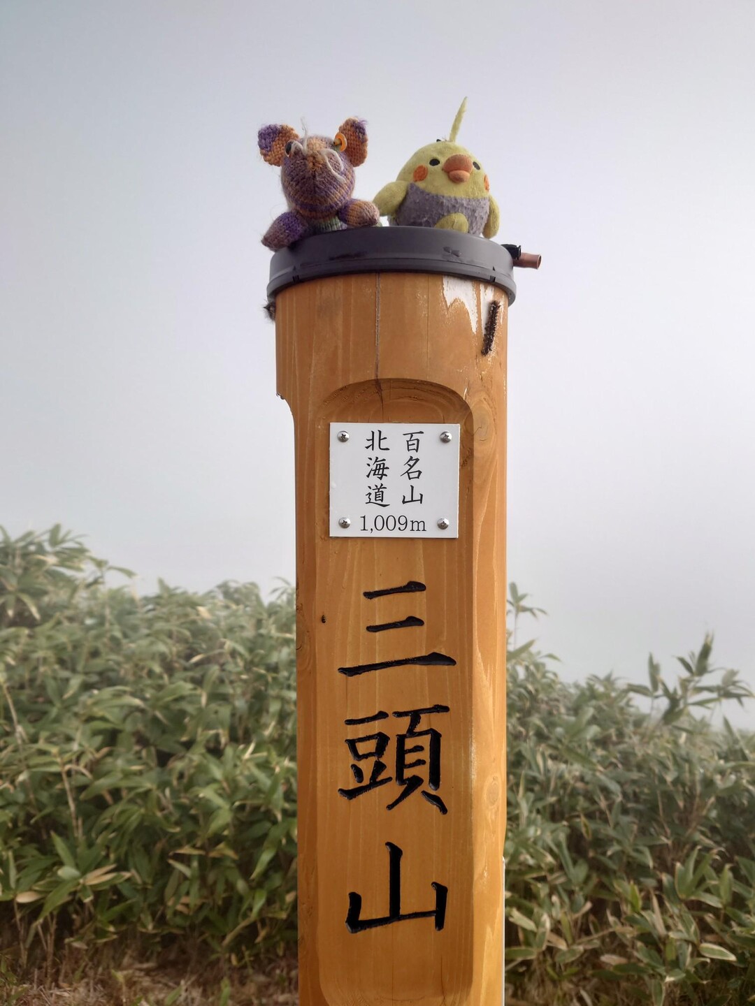 三頭山 / fujisunさんの三頭山の活動データ | YAMAP / ヤマップ