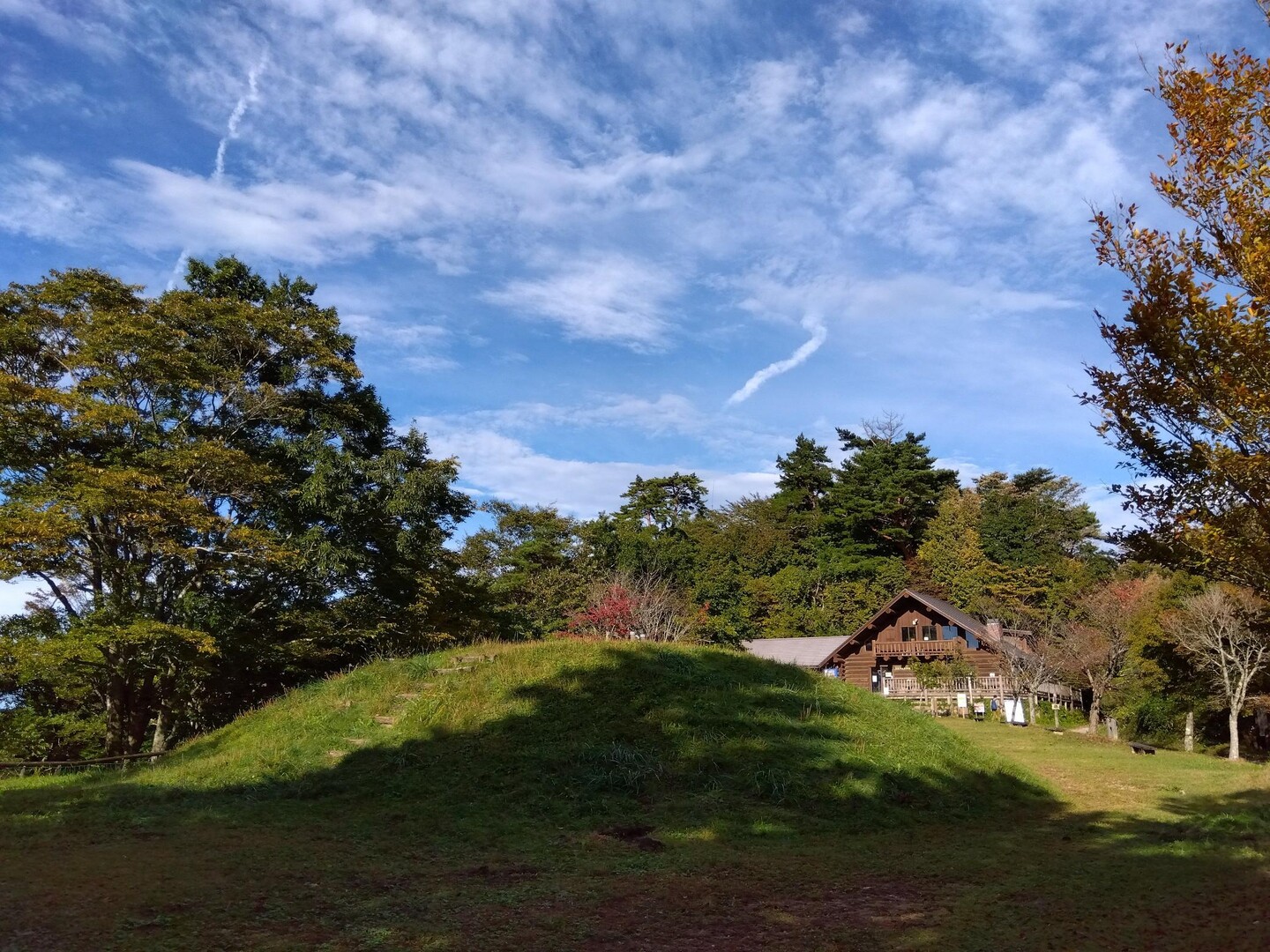 金剛山 細尾尾根?⤴ 寺谷⤵ / chica de montañaさんの金剛山・二上山・大和葛城山の活動日記 | YAMAP / ヤマップ