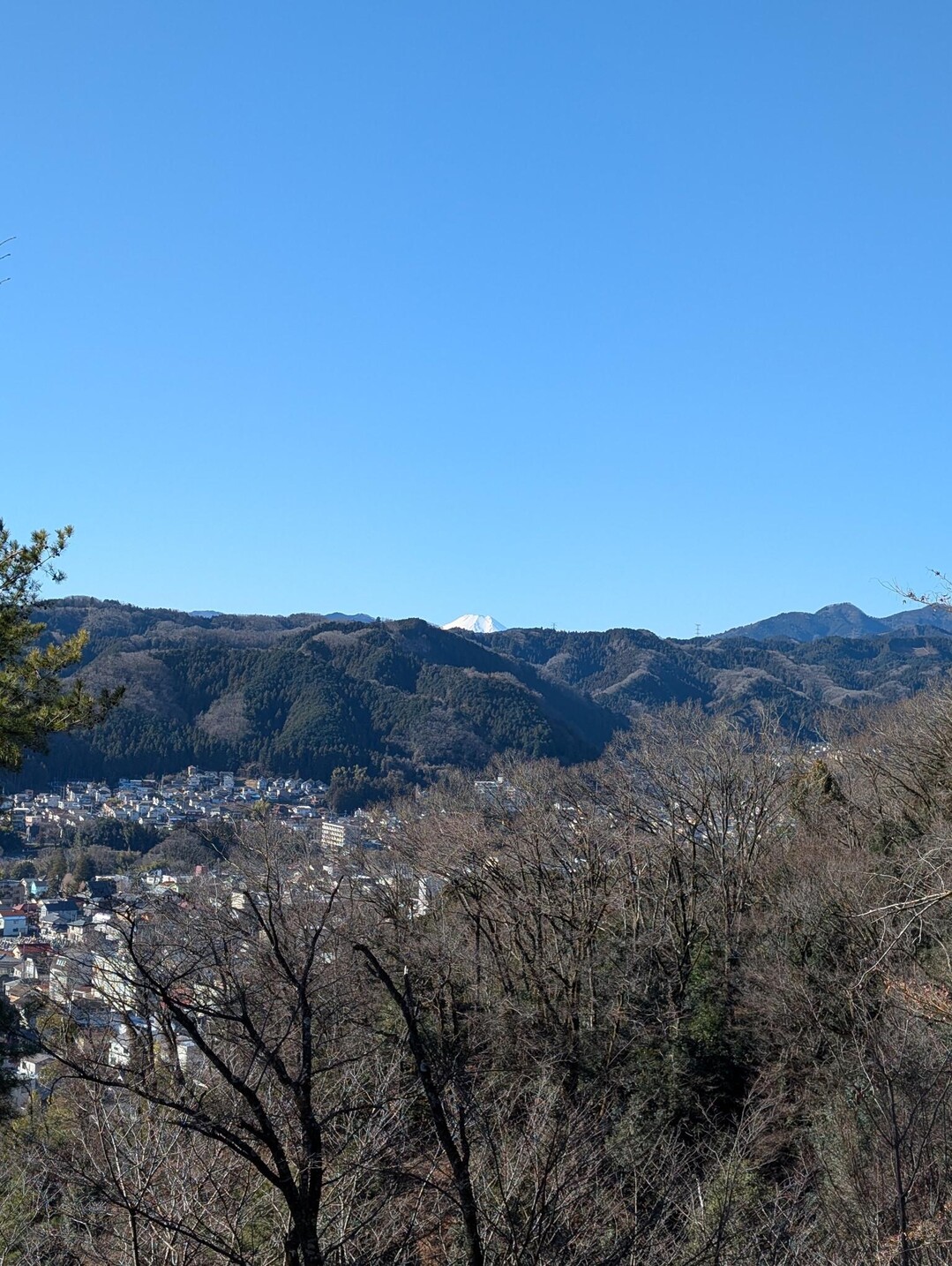 雷電山 / Nori-Benさんの大岳山・御岳山・御前山の活動データ | YAMAP / ヤマップ