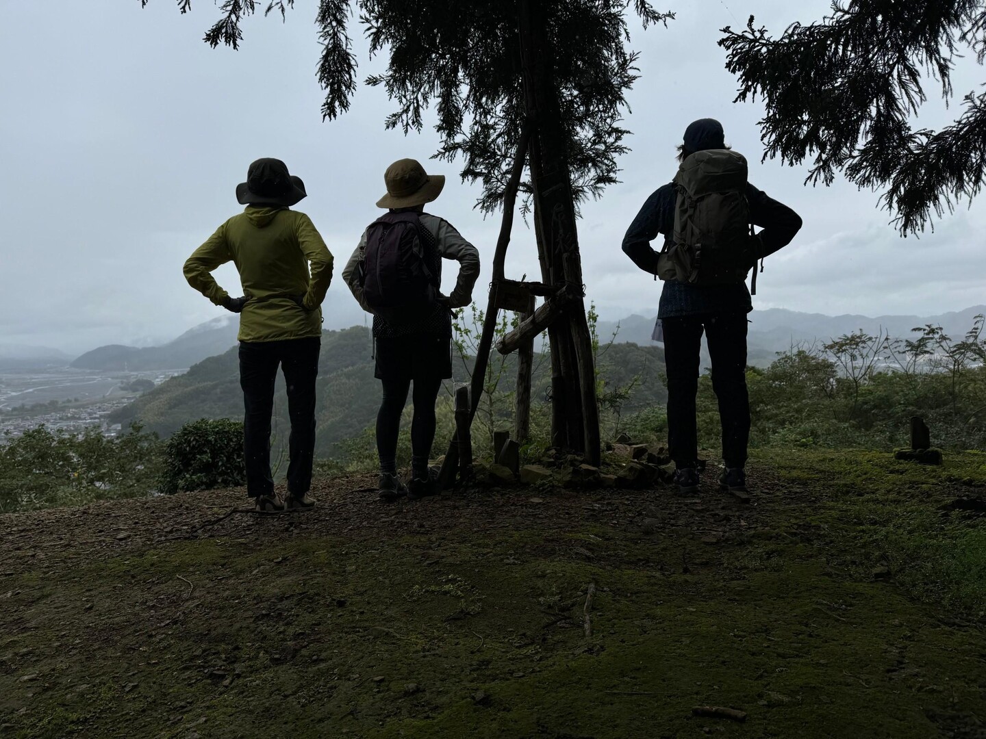 福成山・茶臼山・賤機山・浅間山 / y☆shiさんの賤機山の活動データ | YAMAP / ヤマップ