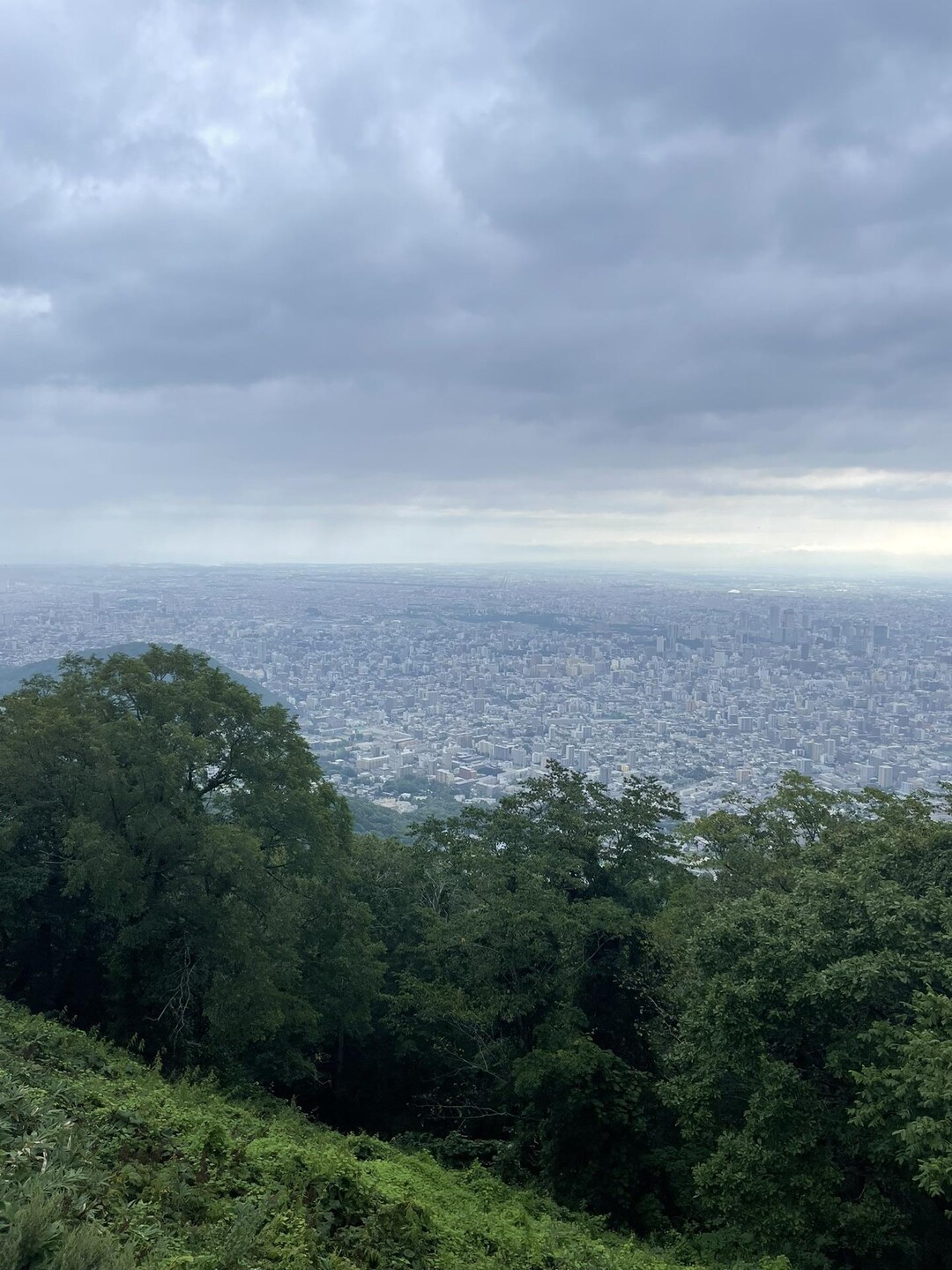 藻岩山 / minorunさんの藻岩山の活動データ | YAMAP / ヤマップ