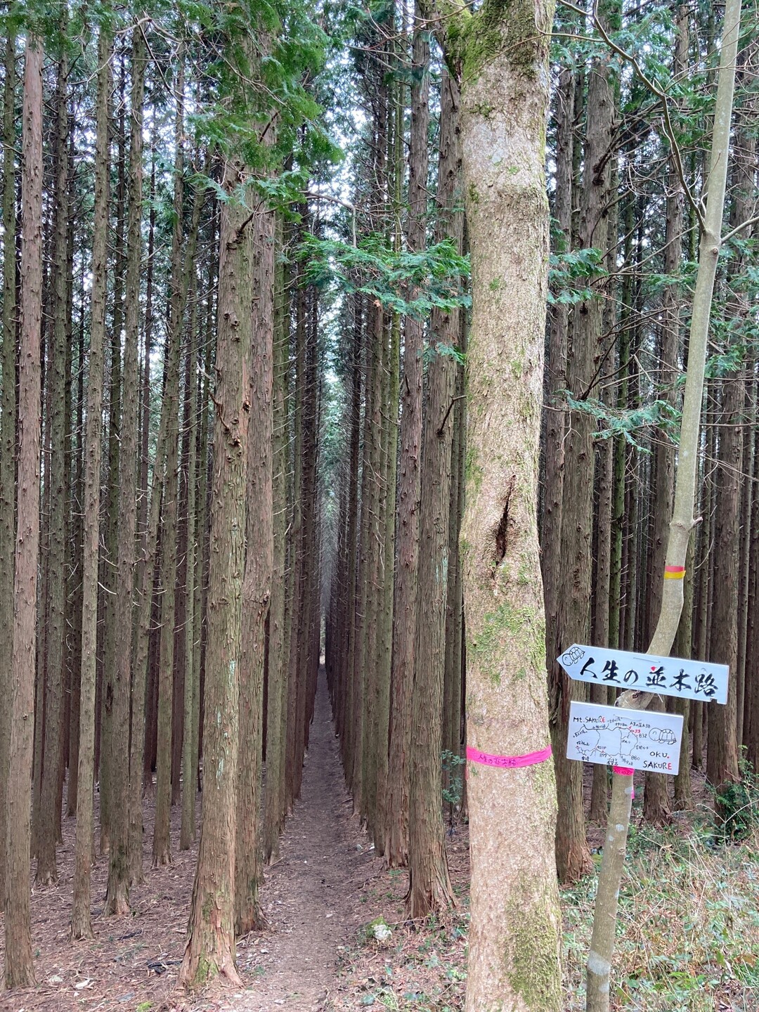 Toshio さんの投稿したフィールドメモ | YAMAP / ヤマップ