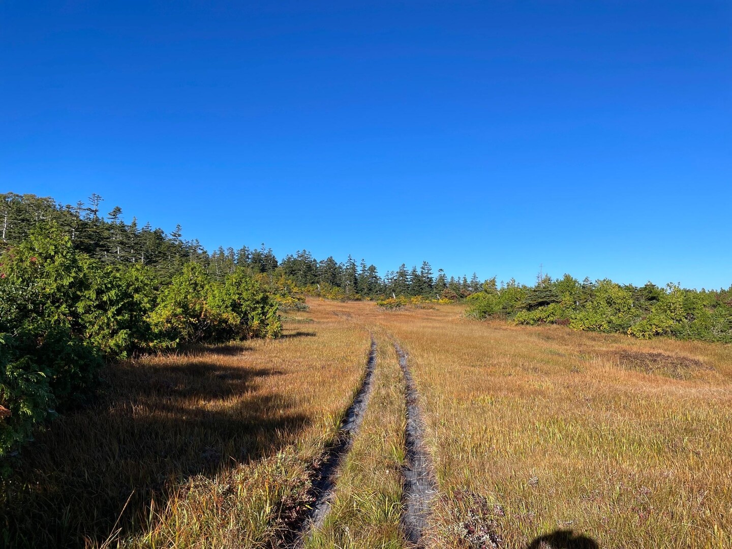 予定外山歩⛰️ / sayoさんの白馬岳・小蓮華山の活動データ | YAMAP / ヤマップ